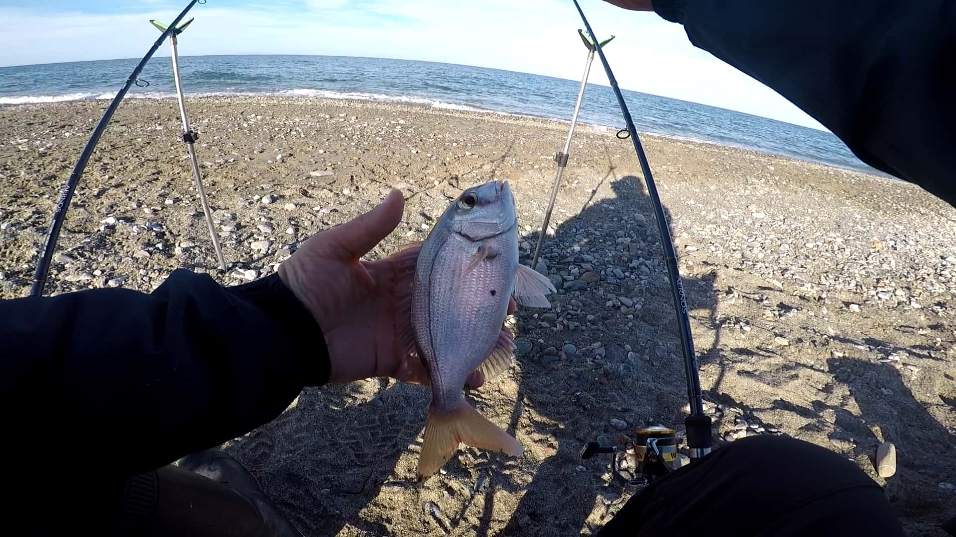 Feeder in mare ai pagri