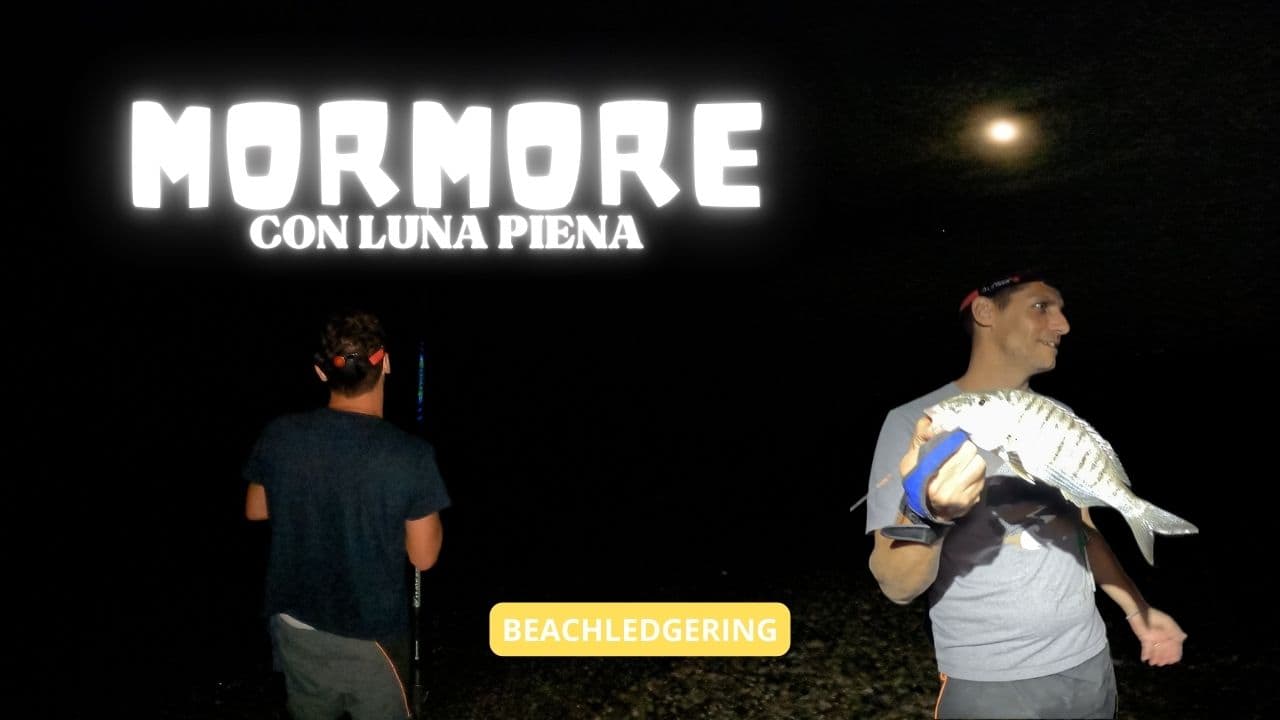 Beach Ledgering con la Luna Piena: Come Insidiare le Mormore in Notturna